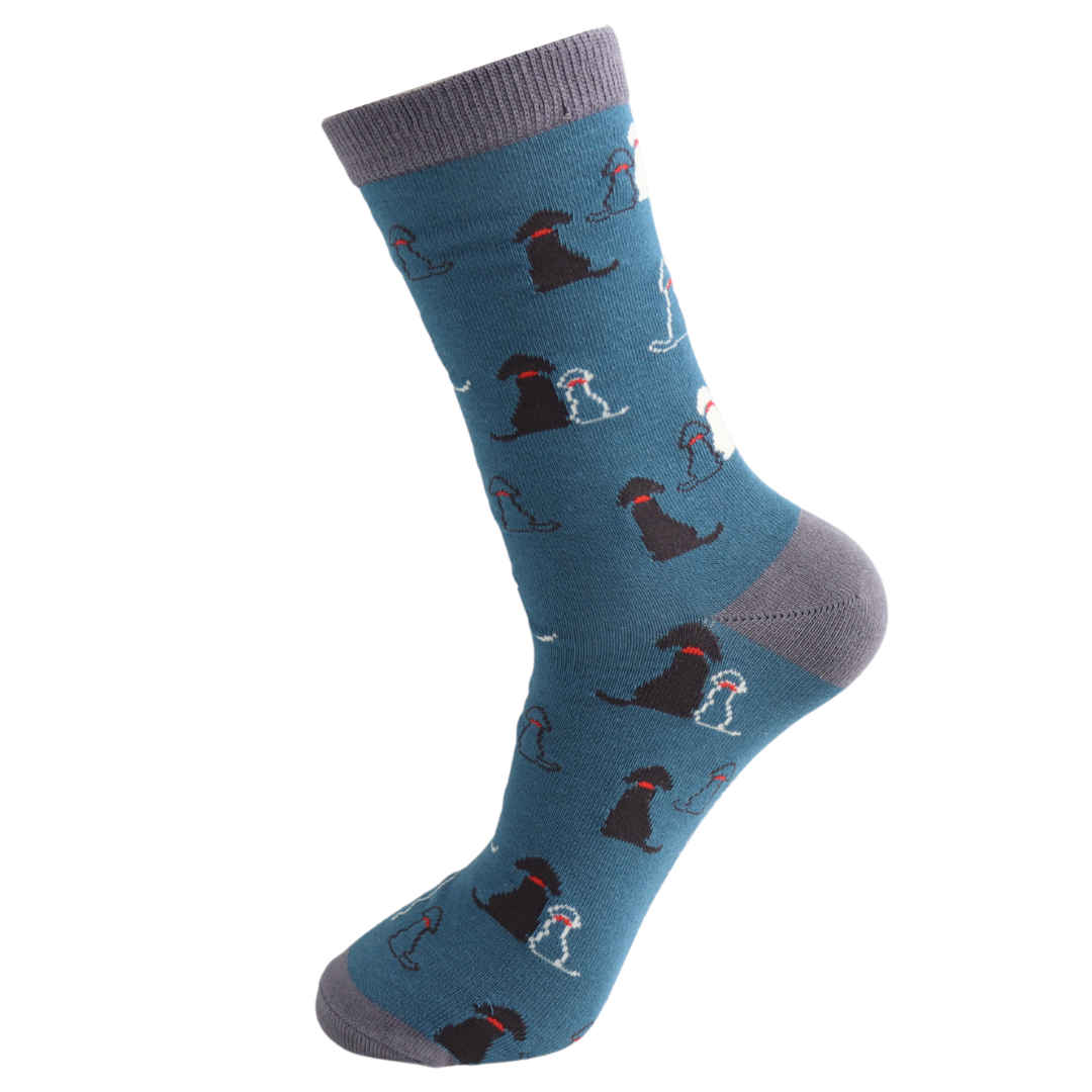 Mr Sparrow Retriever Teal - Miss Sparrow